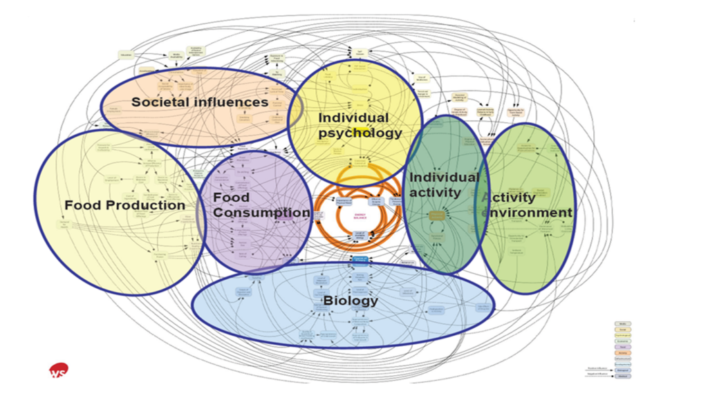 Designing a ‘whole systems approach’ to prevent and tackle obesity – UK ...