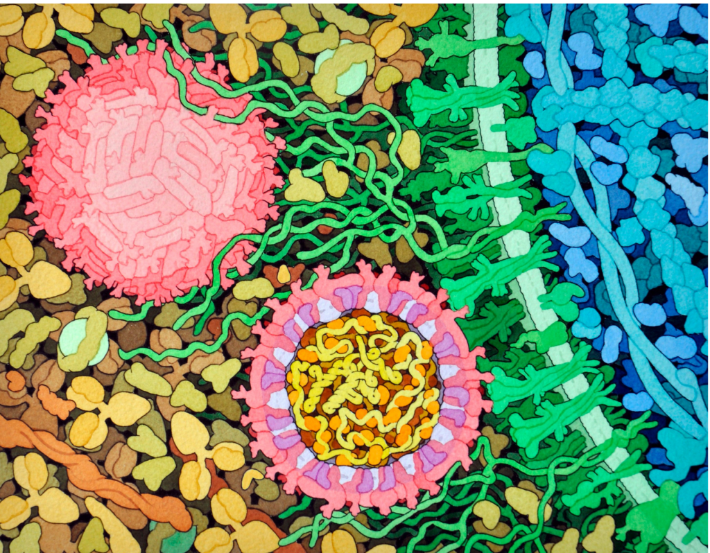 Disease Detectives: keeping track of new and emerging infectious ...