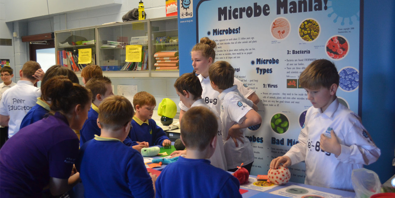 Using e-Bug to educate young people on infection prevention and control ...