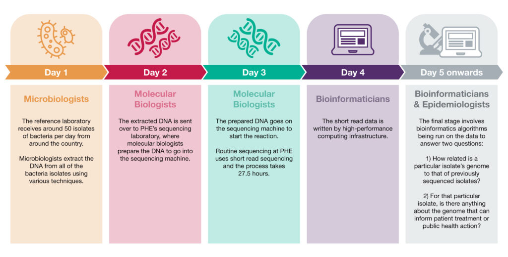 What is Whole Genome Sequencing? – UK Health Security Agency