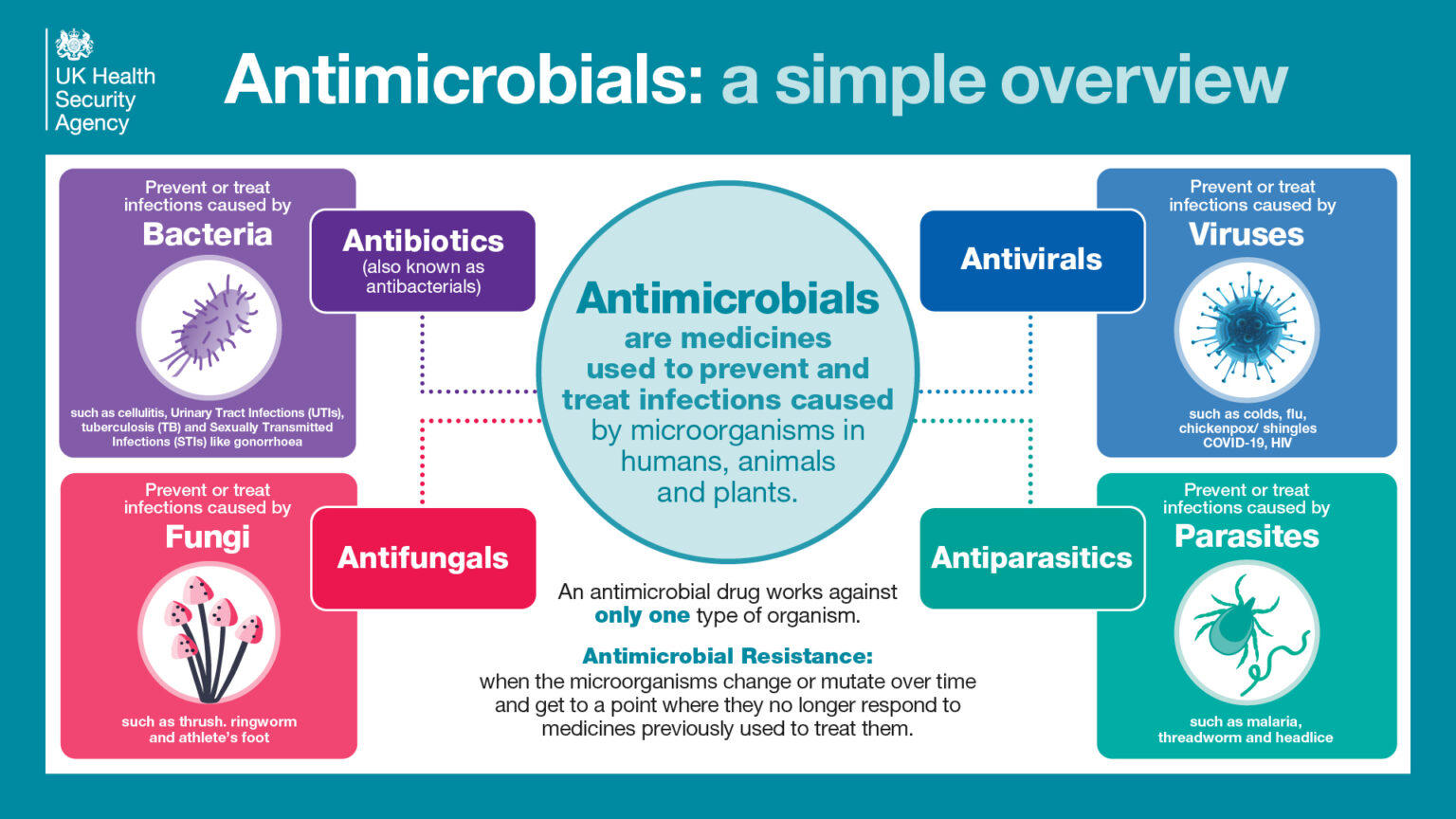 The fight against antimicrobial resistance: progress and challenges ...