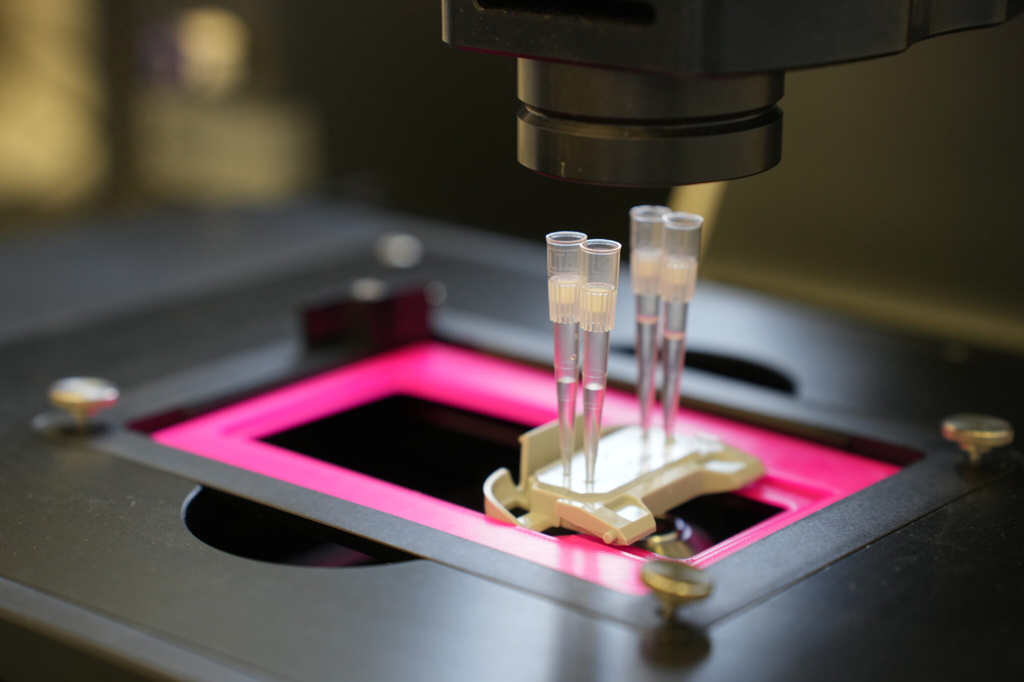 How human organs grown in labs are helping to develop the vaccines of ...