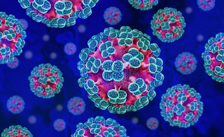 What is hantavirus? How is it transmitted and what are the symptoms ...